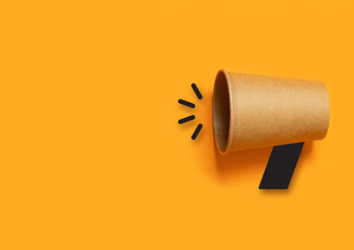 Merit Protection Commissioner